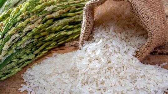 Is Brown Rice Good For Diabetes Management Diabetes Strong