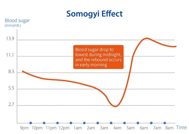 What is the Somogyi Effect (the Blood Sugar Rebound Effect)? - Diabetes ...