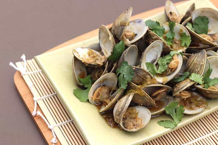Seafood Clam